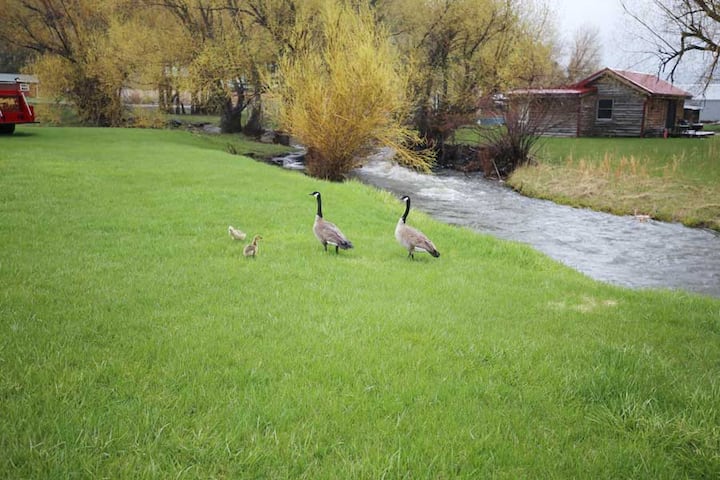 Rv Site 13 - Hill City, SD