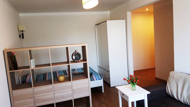 Awesome Renovated Apartment Close To Airport - Riga