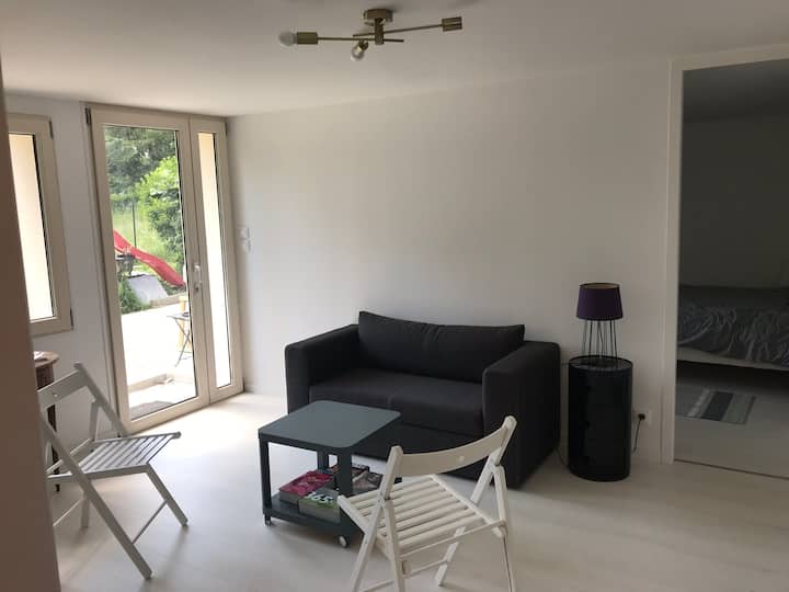 Appartement Avec Grande Terrasse Privative - Divonne-les-Bains