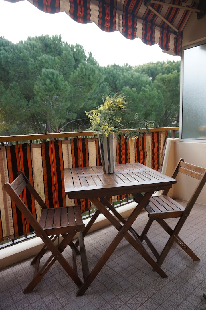 Beau Studio Proche Mer Et Commerces - Mandelieu-la-Napoule