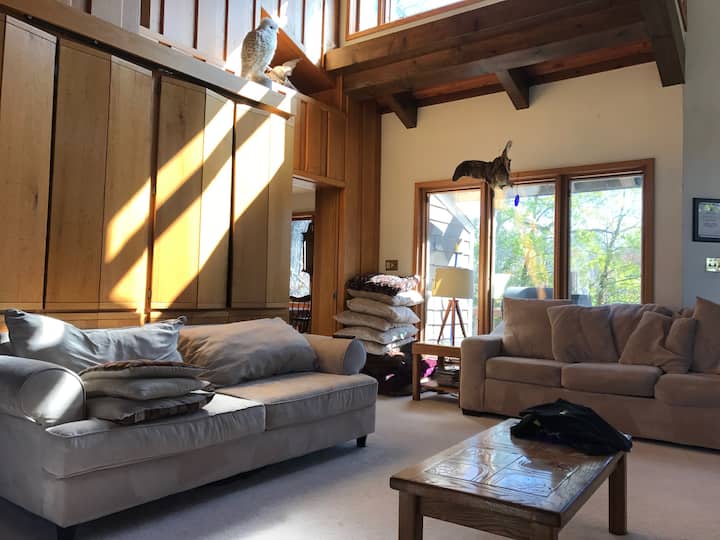 Beautiful Suburban Home In Falls Church Virginia - Burke, VA