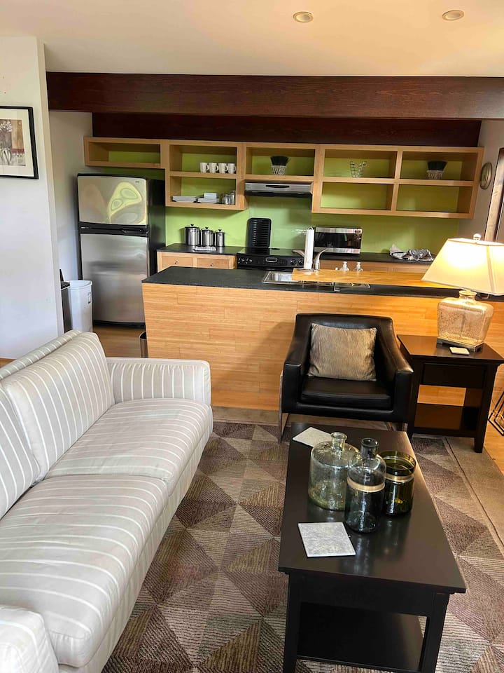 Buckhead Contemporary Guesthouse - Atlanta, GA