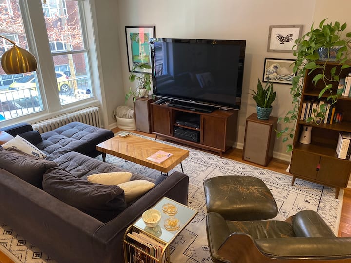 Large, 3 Level, Light-filled Columbia Heights Home - Washington DC