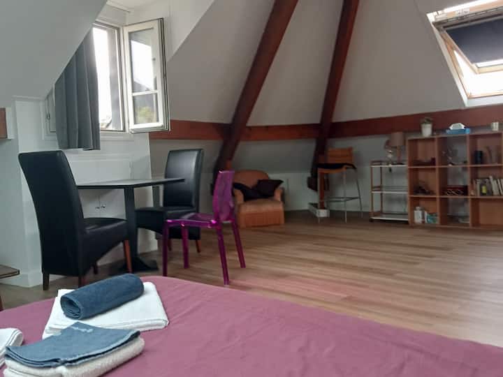 Charenton Le Pont, Superbe Appartement. - Charenton-le-Pont