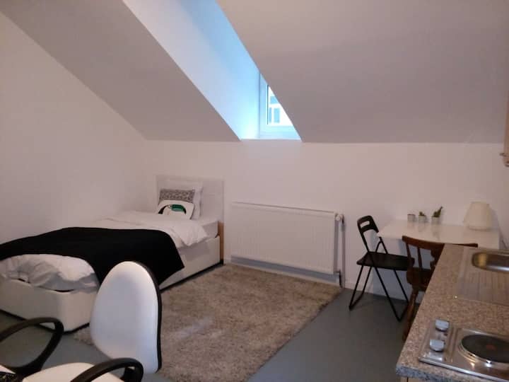 Studio Meublé En Résidence Privée - Mulhouse