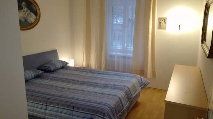 Beautiful And Spacious Apartment In The Center - Prague