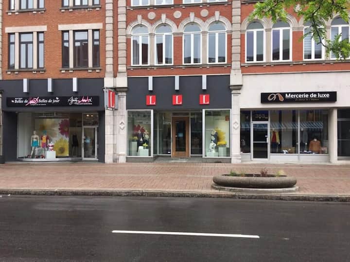 Charmant Appart 3 1/2 Au Centre-ville De 3rivieres - Trois-Rivières