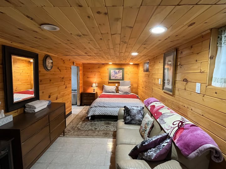 Cabin Style In Basemnt W/ Private Entrance:mclaren - East Lansing, MI