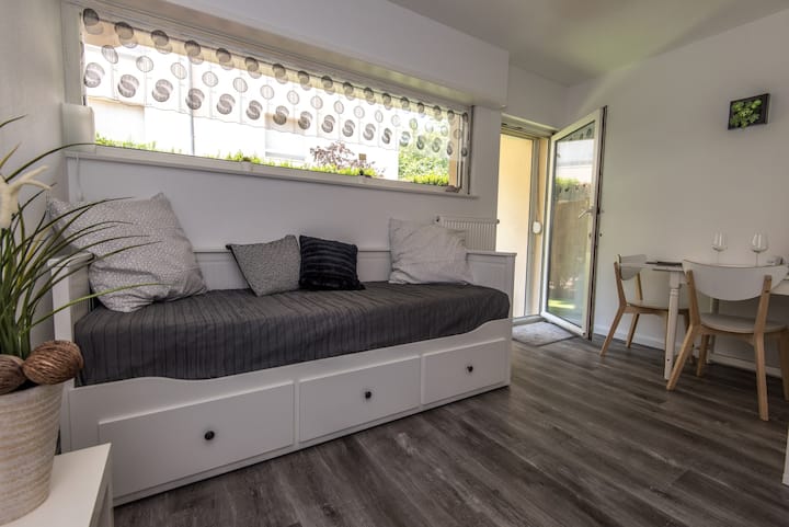 Beau Studio Avec Terrasse Strasbourg-robertsau - La Wantzenau