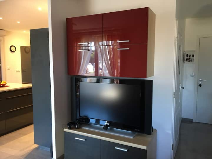 Appartement Standing Terrasse Et Spa - Tours