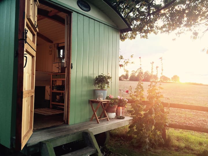 Idyllic Shepherd's Hut Near Chieveley - Berkshire