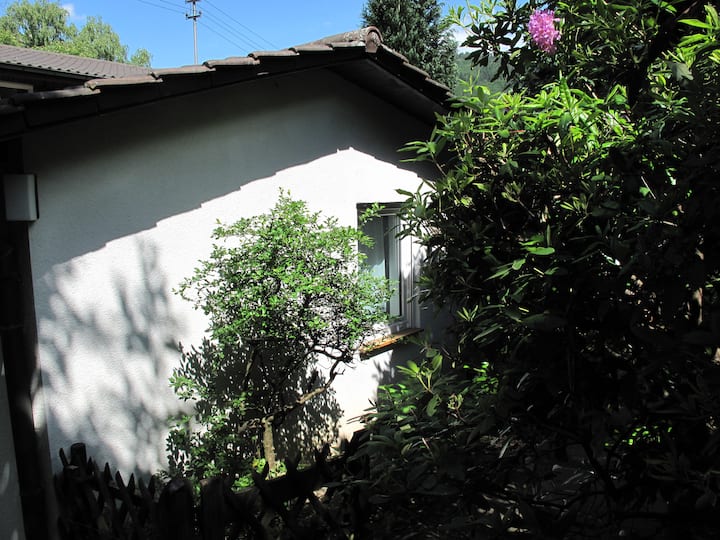 Ruhige Wohnung Im Grünen In Heidelberg - Heidelberg