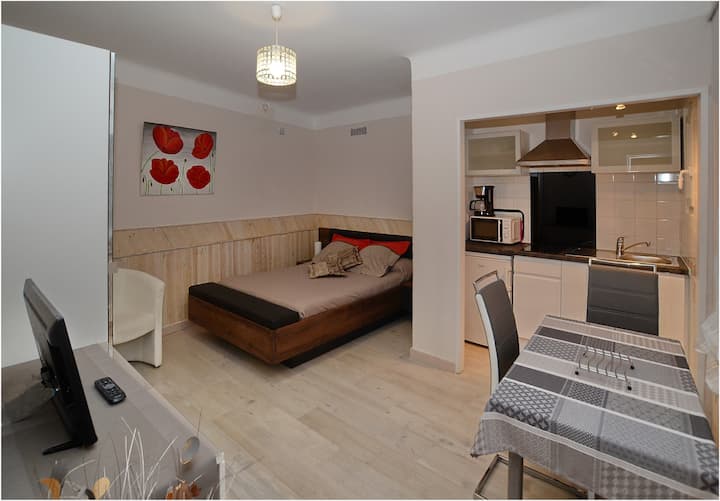 Studio Climatisé Avec Parking En Centre Ville - Domme
