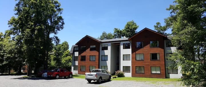 Acogedor Departamento A 1,5 Km. De Pucon - Pucón