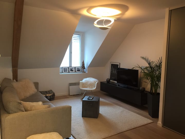 Annecy Centre - 3 Chbre 6 Pers - 90m2 5 Min Du Lac - Annecy