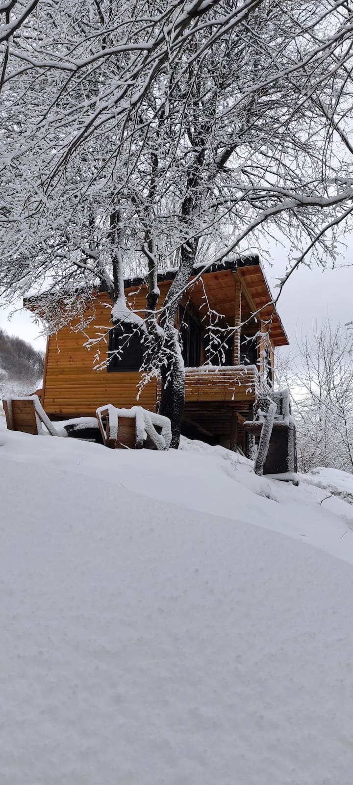 Botanikevim
Doğanın Güzelliklerini Keşfedin - Kocaeli