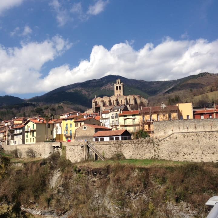Bel Appartement Au Coeur Du Village - Camprodon