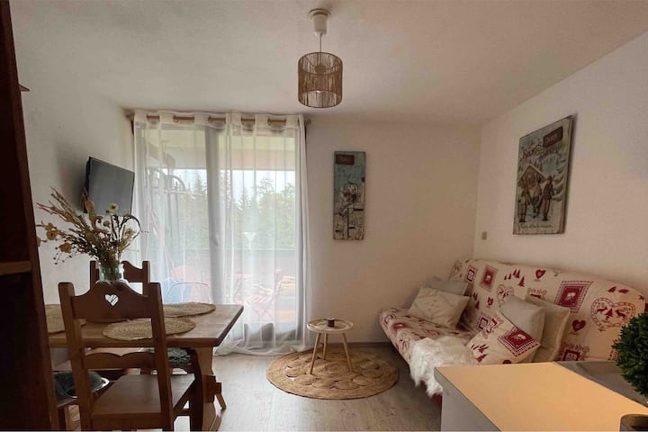 Chaleureux Studio Montagnard Avec Balcon 2303 - Les Rousses