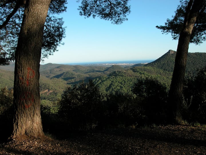 Rustic Stone Houses - 15+ persons! - Houses for Rent in Bagnols-en ...