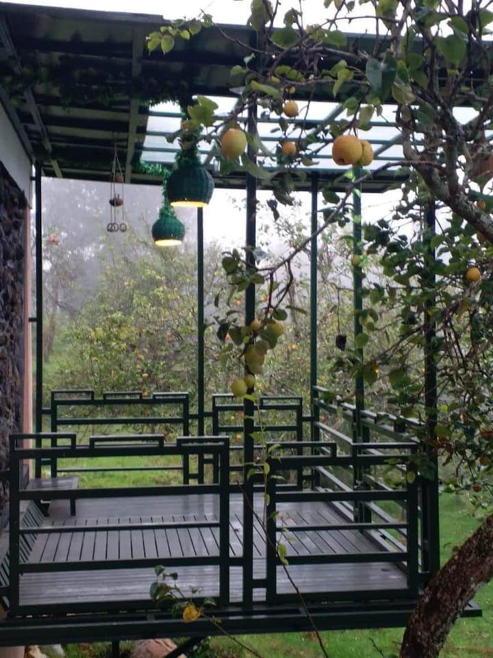 Dive In Nature/couple Suit / Cottage Kodaikanal - コダイカナル