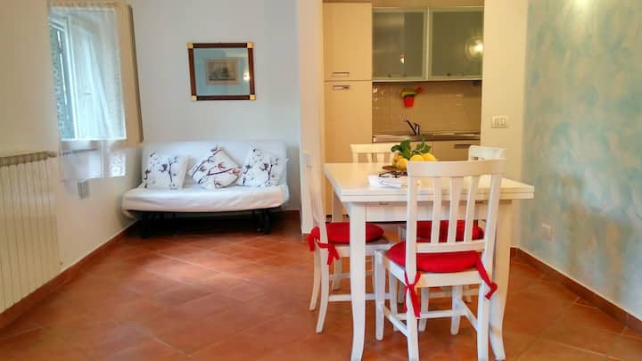 Il Girasole Comodo Monolocale Vicino Alle 5 Terre - Levanto