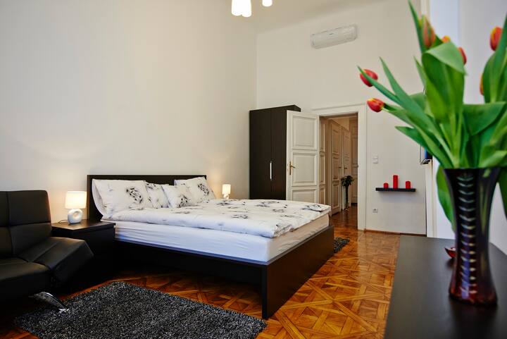 3 Bdrms 2.5 Bthrms Apartment - Budapest
