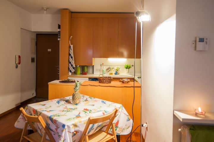 Studio-flat Nearby Brera District - Milano
