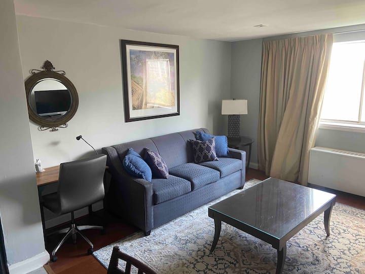 1 King Br Downtown Atl With Free Parking - Atlanta, GA