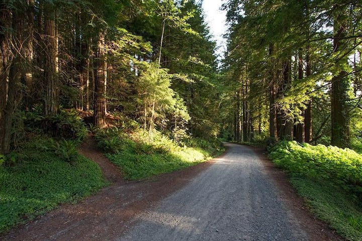 Historic Forest Carriage House Near Town, Hospital - Arcata