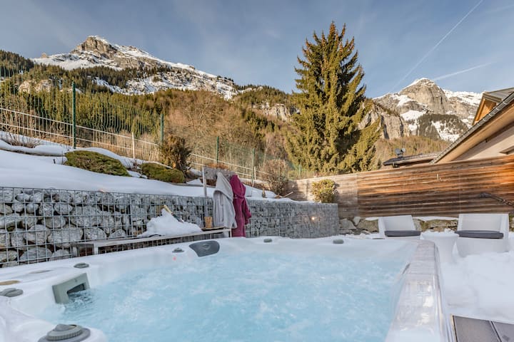 Very Nice Chalet Les Edelweiss Close To Chamonix - Passy