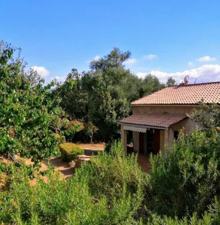 Maison Avec Vue Au Calme, Beau Terrain De 2000m2 - Propriano