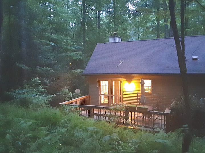 Mountain House Wooded Oasis - Lake Toxaway, NC