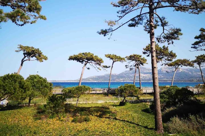 Un Appartement Au Paradis - Calvi