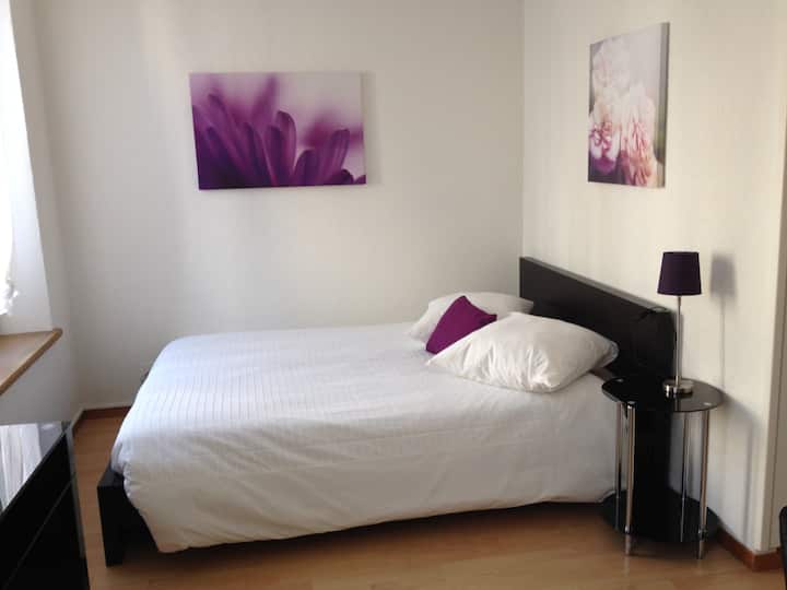 Studio Floréal, Quartier Calme, Situation Idéale - Lausanne