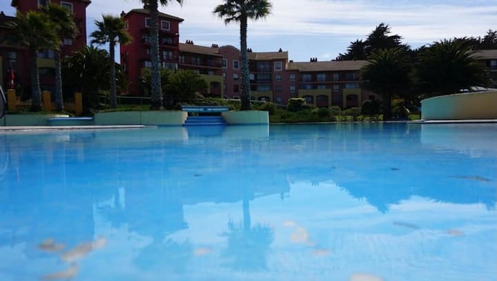 Pet Friendly - Cartagena