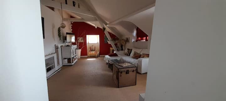 Appartement De Charme Hypercentre - Nantes