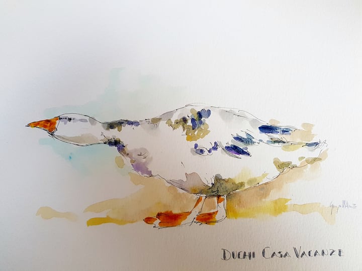 Duchi Home Holiday Loc.brevecin It082053c2pjtovfsq - Isola delle Femmine