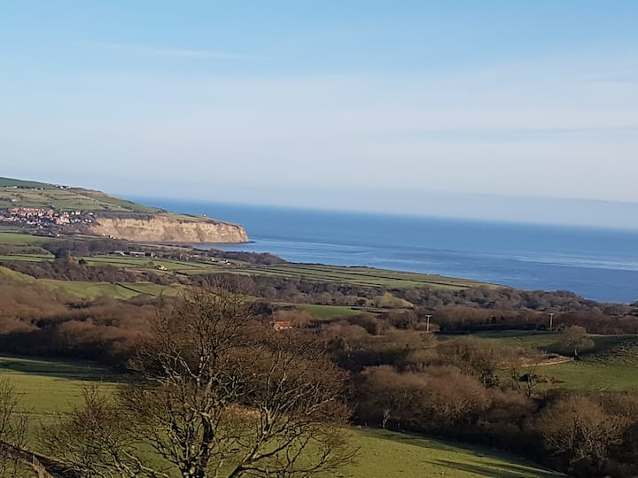 Hazel Cottage Nestled Twixt Coast And Moorland - Yorkshire