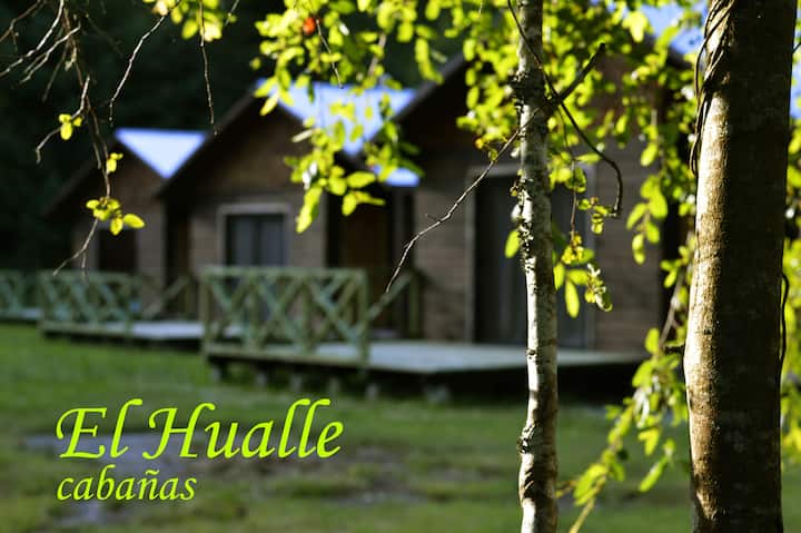 Cabañas El Hualle - Panguipulli - Panguipulli