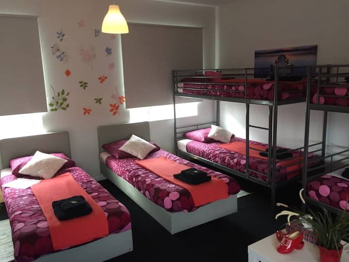 Visit Amsterdam From The Center Of Holland,utrecht - Zeist