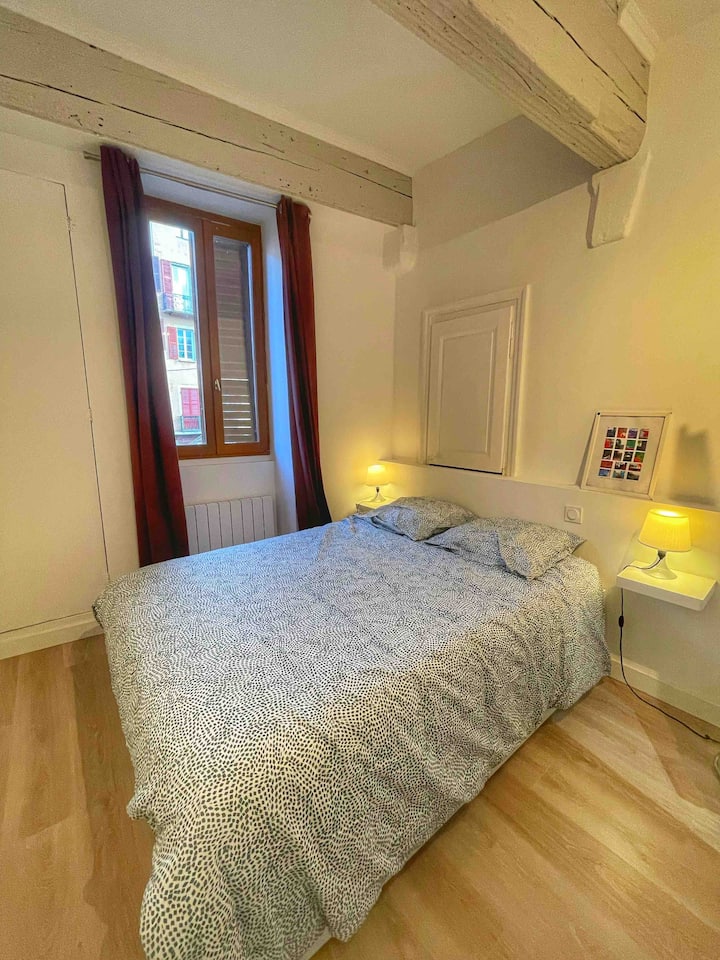 Chambery Cosy 2 . Bienvenue Au Cœur Historique - Chambéry