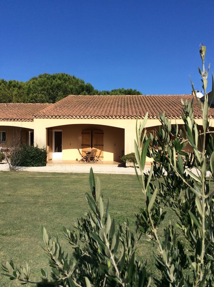 L'ariette - Camargue