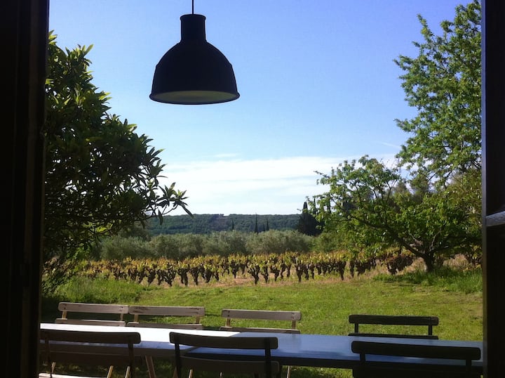 Grande Villa Sur Vigne Et Oliveraie - Lac du Salagou