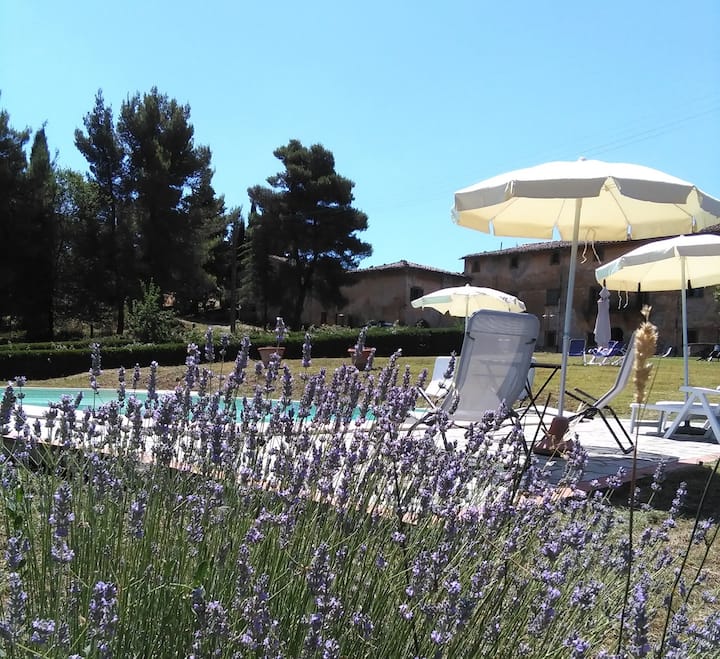 Apartment Nel Borgo Di Villa Di Campagna Volterra - Volterra