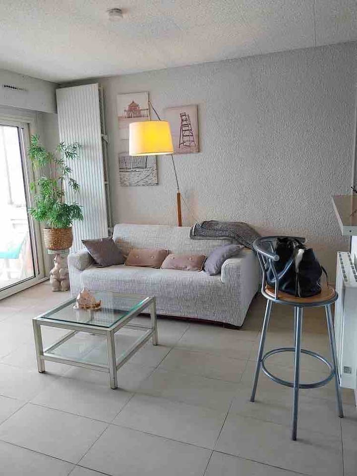 Appart, Avec Vue Port Du Cap 
+ Parking + Piscine - Agde