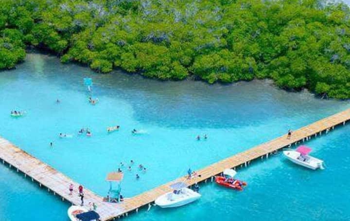 8 Mejores Airbnbs en La Parguera, Puerto Rico | Trip101