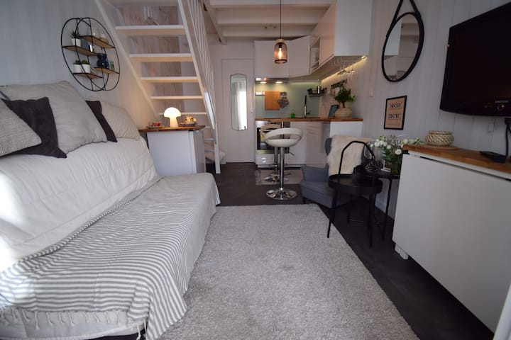 Idéal Arcachon Studio Cosy Plage Et Centre à Pieds - Arcachón