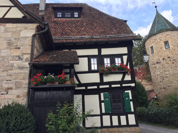Mittelalterliche Idylle In Tübingen-bebenhausen - Tübingen
