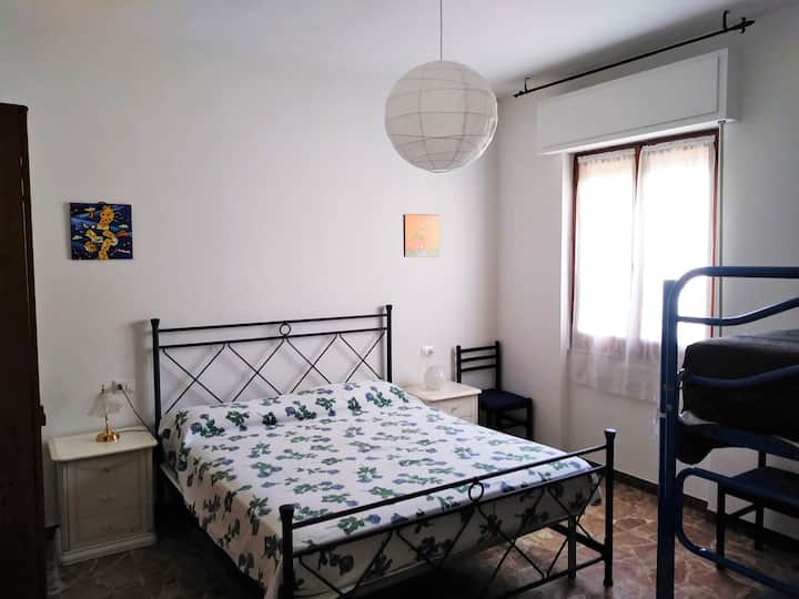 Appartamento Alghero Facile - Easy Alghero (P8348) - Alghero