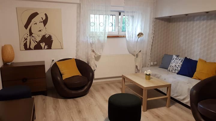 Spacious Room Close To The Centre Of Poznan - Poznań